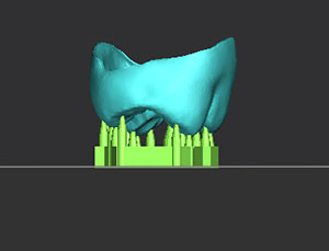 NextDent Print Material Quick Reference