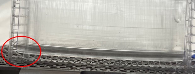 Figure 4 TOUGH CLEAR Tall, Straight Features